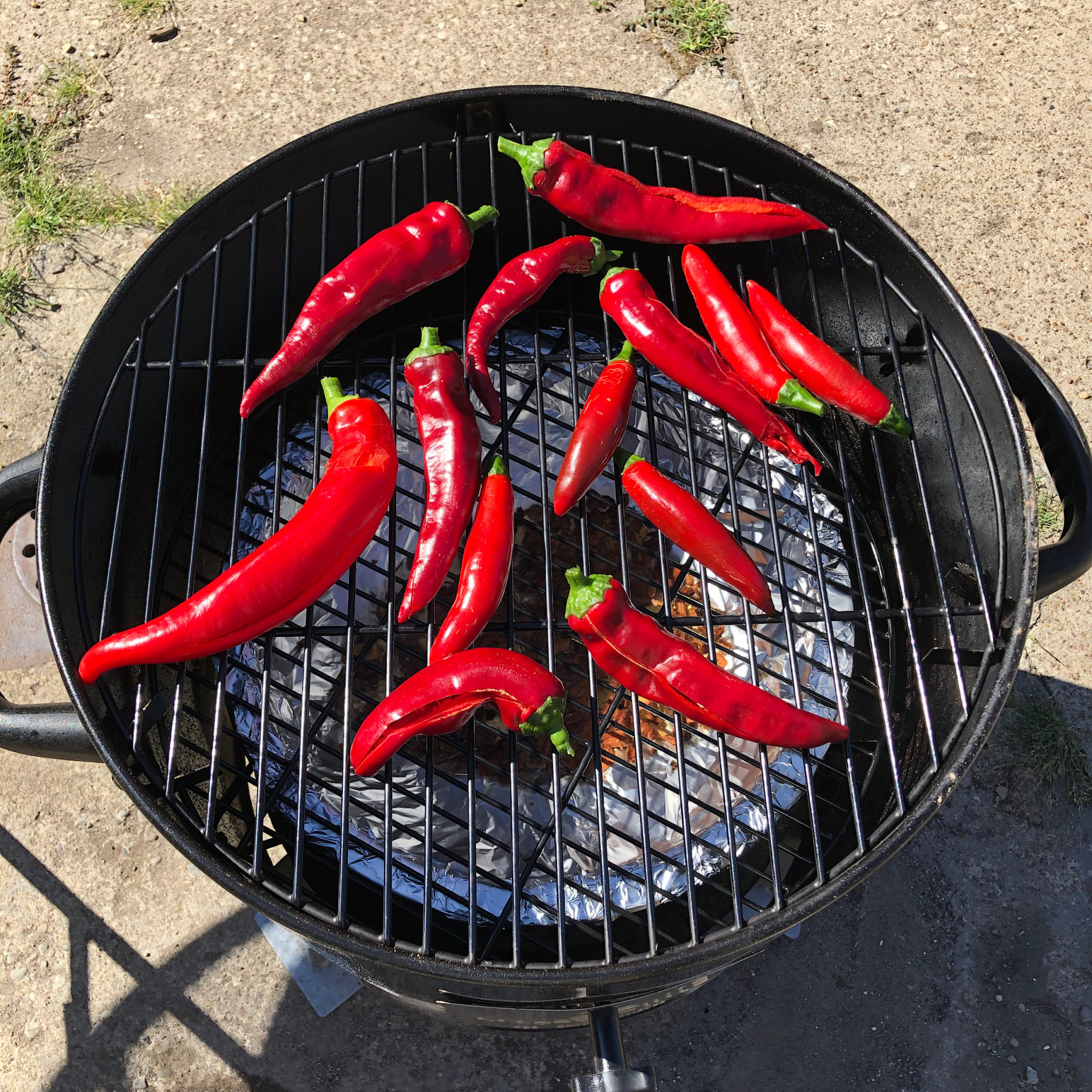 Homemade Smoked Paprika - Gardening | Cooking | Shady Ave Micro Farm